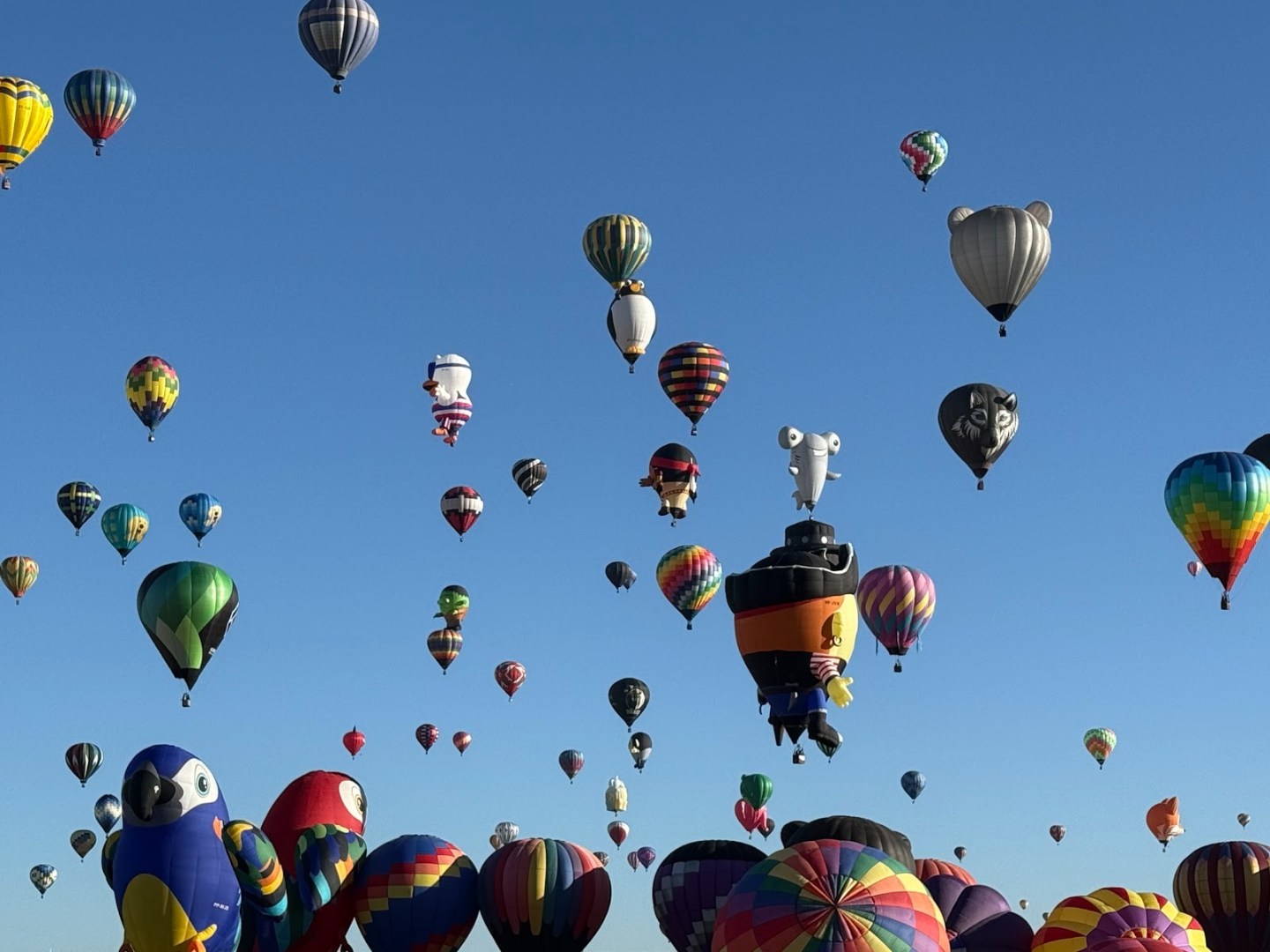 Balloon Fiesta 2025 – Travels with Vinny VanGo